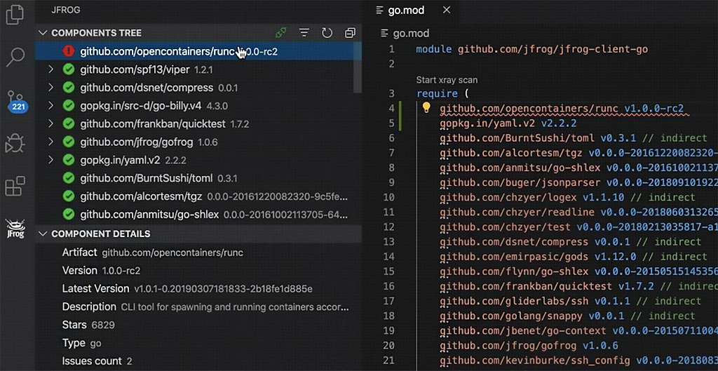 Identify Go Module Vulnerabilities Using VS Code IDE | JFrog GoCenter